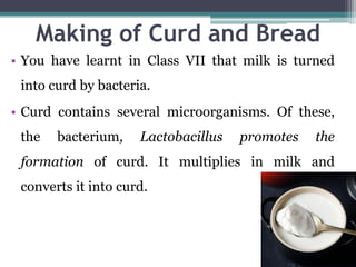 Class VIII Science: Chapter 2: Microorganisms; Friend and Foe | PPT