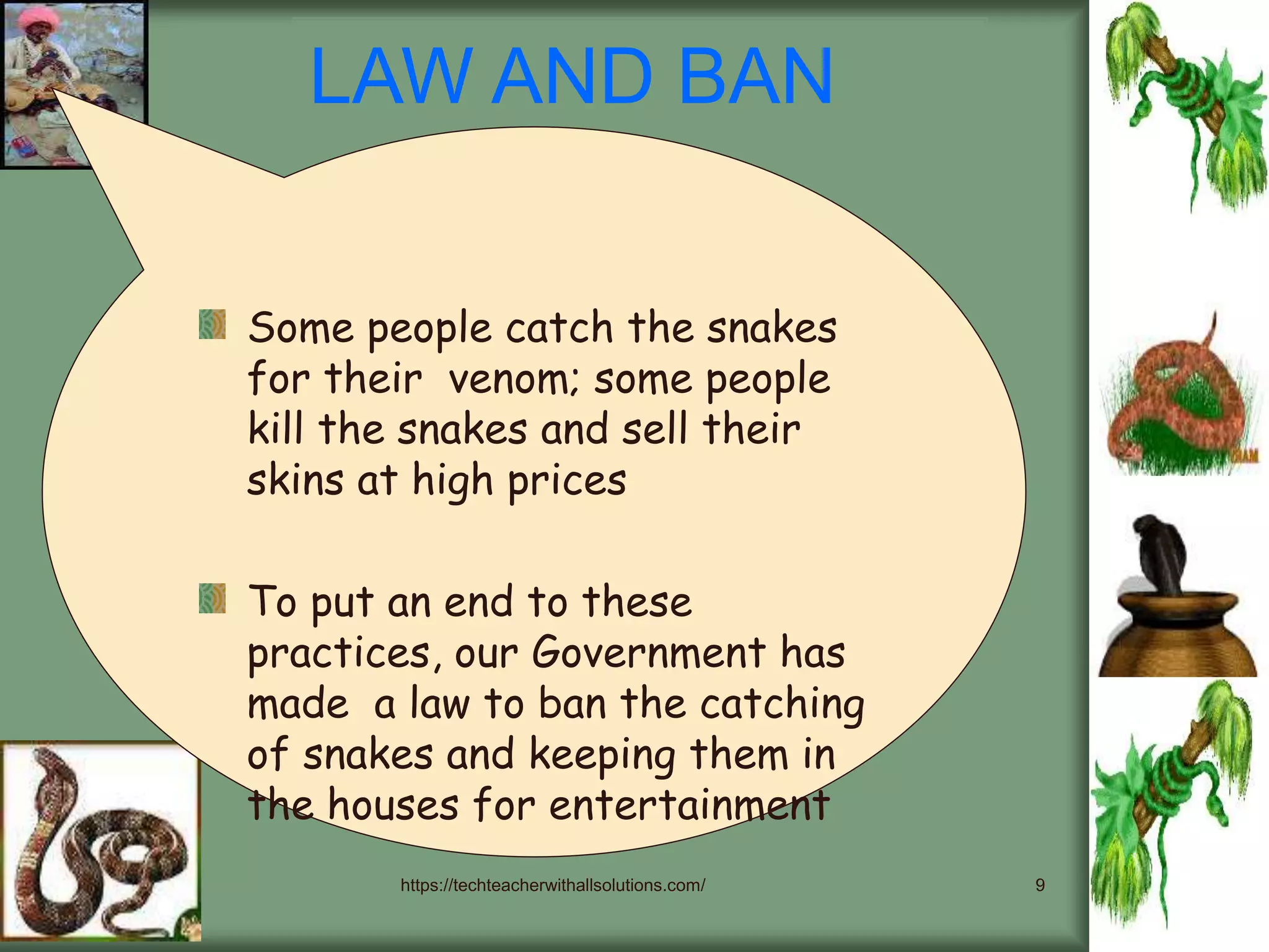 EVS Class 5 Chapter 2 A snake charmer’s story | PPT