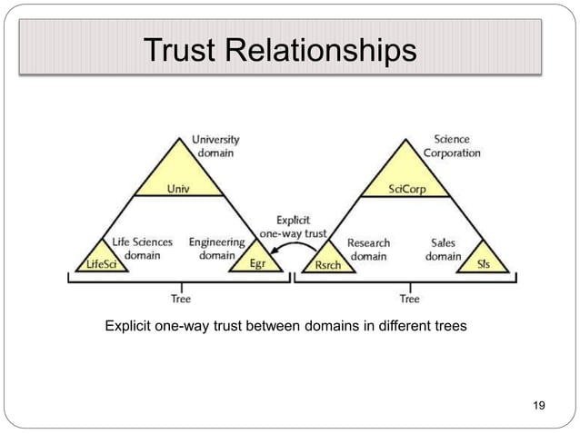 Windows Network concepts | PPTX | Operating Systems | Computer Software and Applications