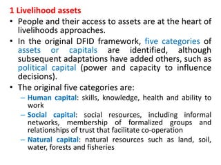Sustainable Livelihood Framework | PPTX