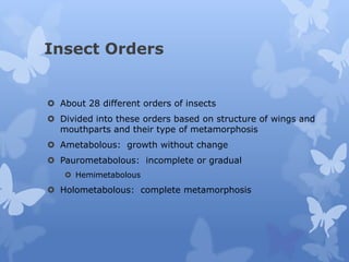 Chapter 2. Taxonomy.pdf