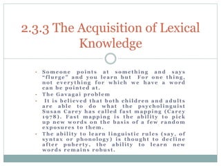chapter 2. Words, Dictionaries and the mental lexicon (Morphology (Linguistics) | PPTX