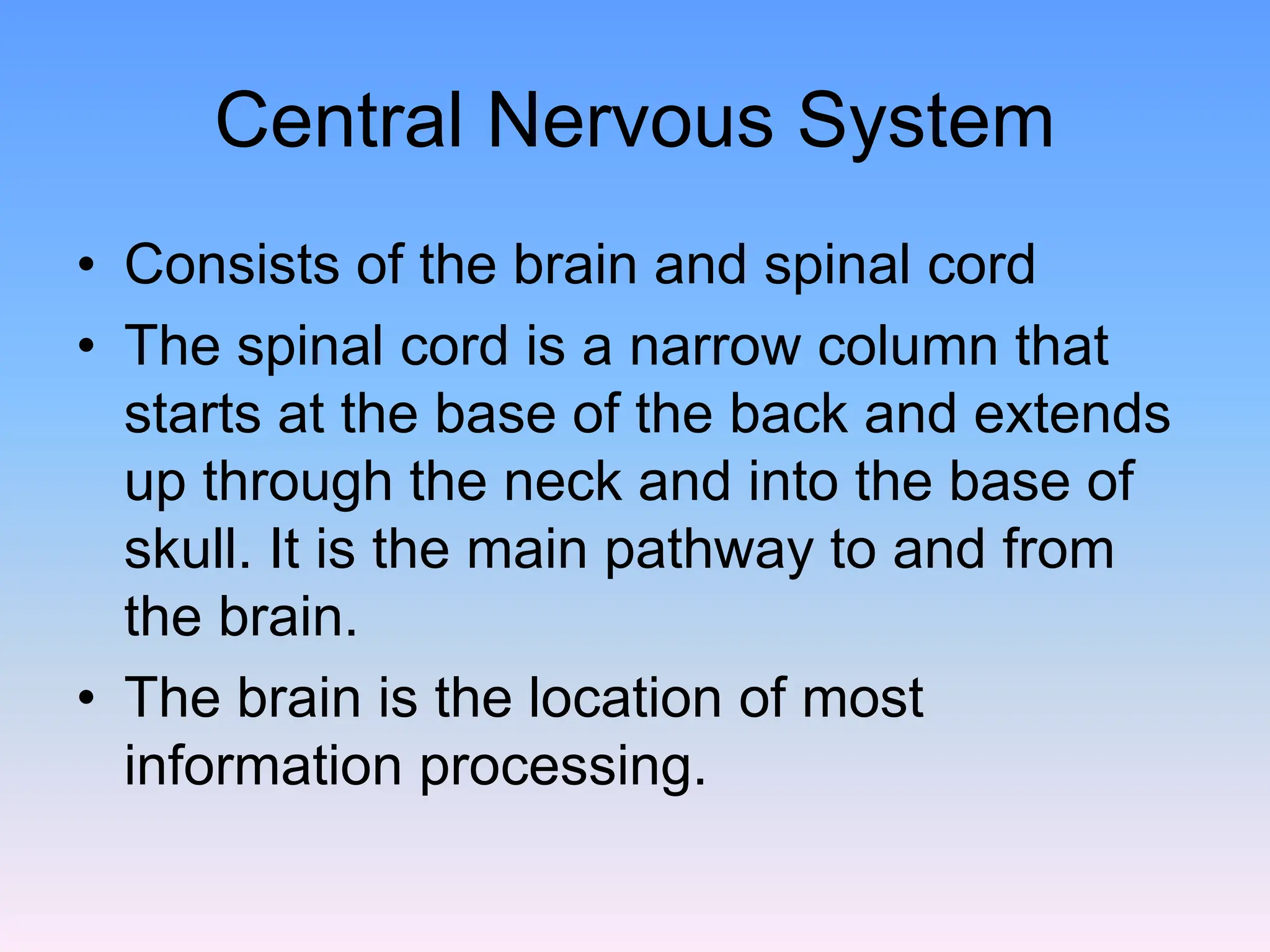 Chapter 2.3 The Central Nervous System.pptx