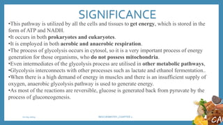 BIOCHEMISTRY-CARBOHYDRATE METABOLISM CHAPTER 2.pptx