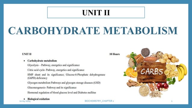 Carbohydrate Metabolism