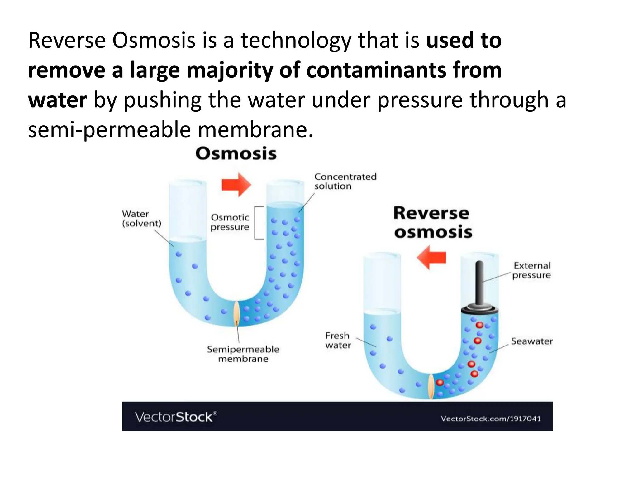 Chapter 2.2 Diffusion, osmosis and imbibition.pptx