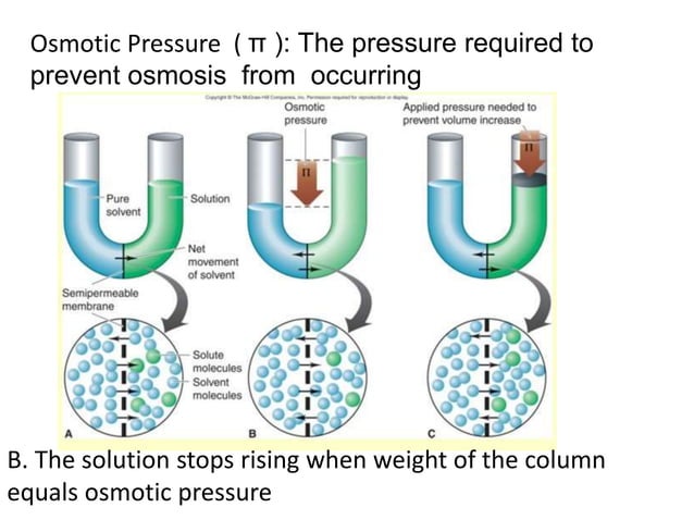 Chapter 2.2 Diffusion, osmosis and imbibition.pptx | Chemistry | Science