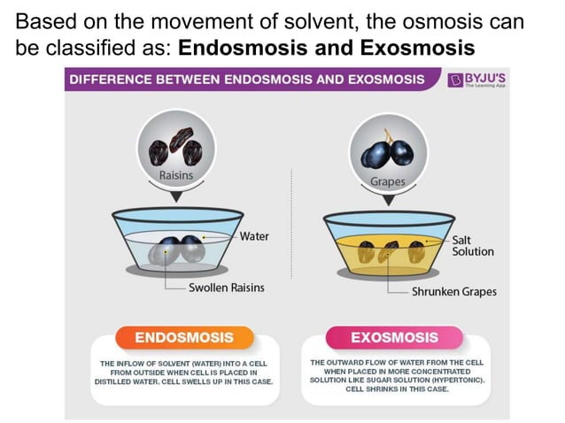 Chapter 2.2 Diffusion, osmosis and imbibition.pptx | Chemistry | Science