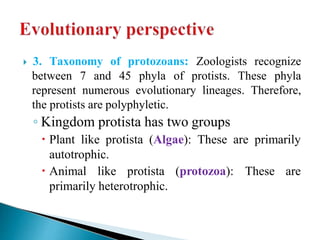 animal like protist the protozoa from animal form and fuction | PPTX