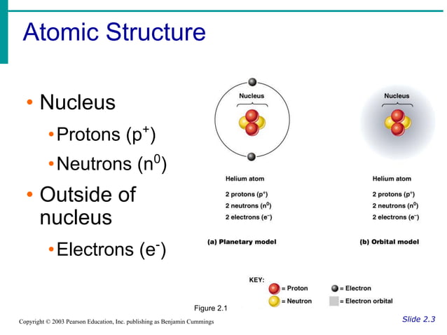 Chapter 2.pdf Basic Chemistry in Anatomy and Physiology | PDF