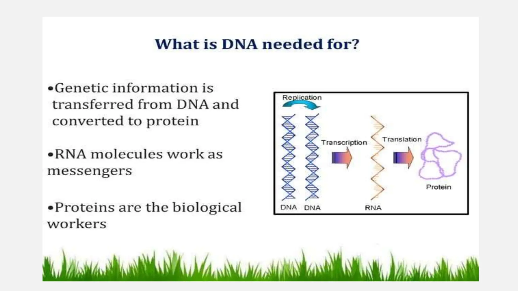 chapter 2. heredity . . . . .pptx