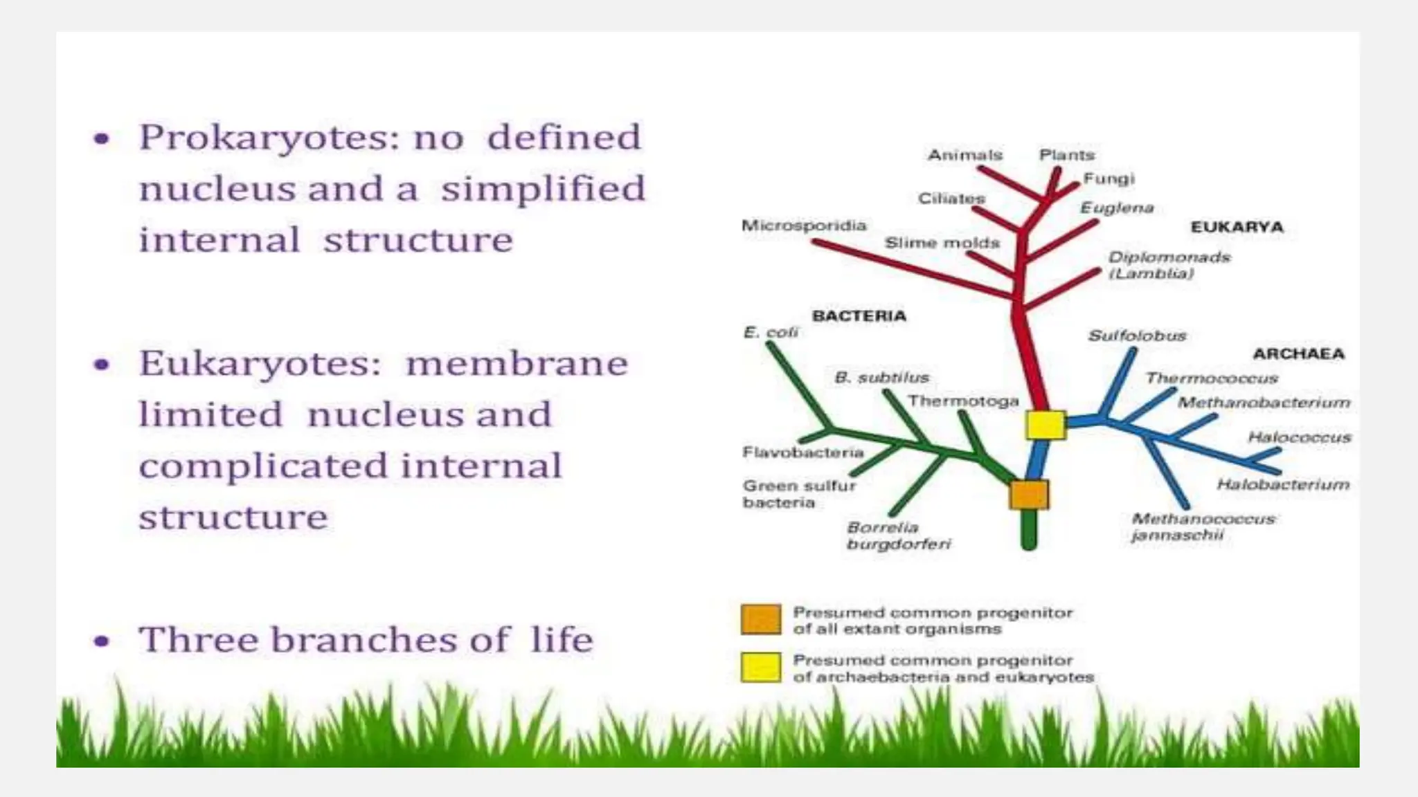 chapter 2. heredity . . . . .pptx