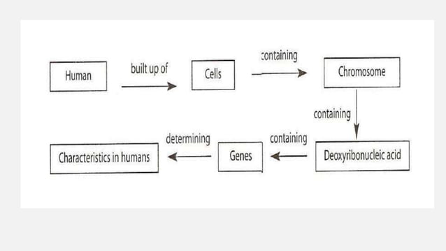 chapter 2. heredity . . . . .pptx