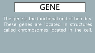 chapter 2. heredity . . . . .pptx