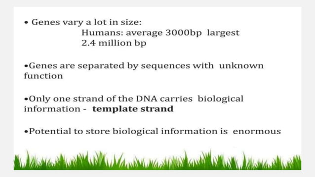 chapter 2. heredity . . . . .pptx