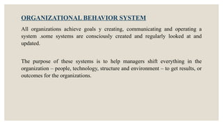Elements of Organisational behavior.pptx