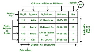 RDBMS stands for Relational Database Management System | PPT