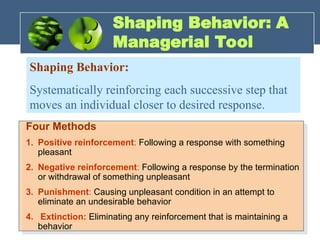 Chapter 2 Foundations of Individual Behavior.ppt