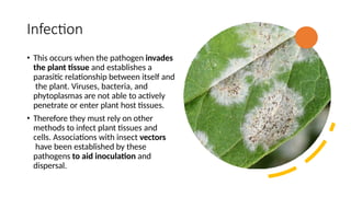 CHAPTER 2 plant pathologyyyyyyyyyyyyyyyyyyyyyyyy.pptx