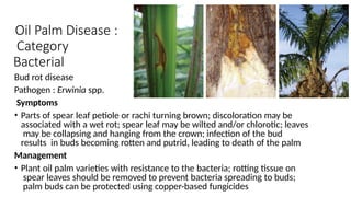 CHAPTER 2 plant pathologyyyyyyyyyyyyyyyyyyyyyyyy.pptx