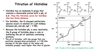 Amino acids chapter 2 of the story about proteins | PPTX