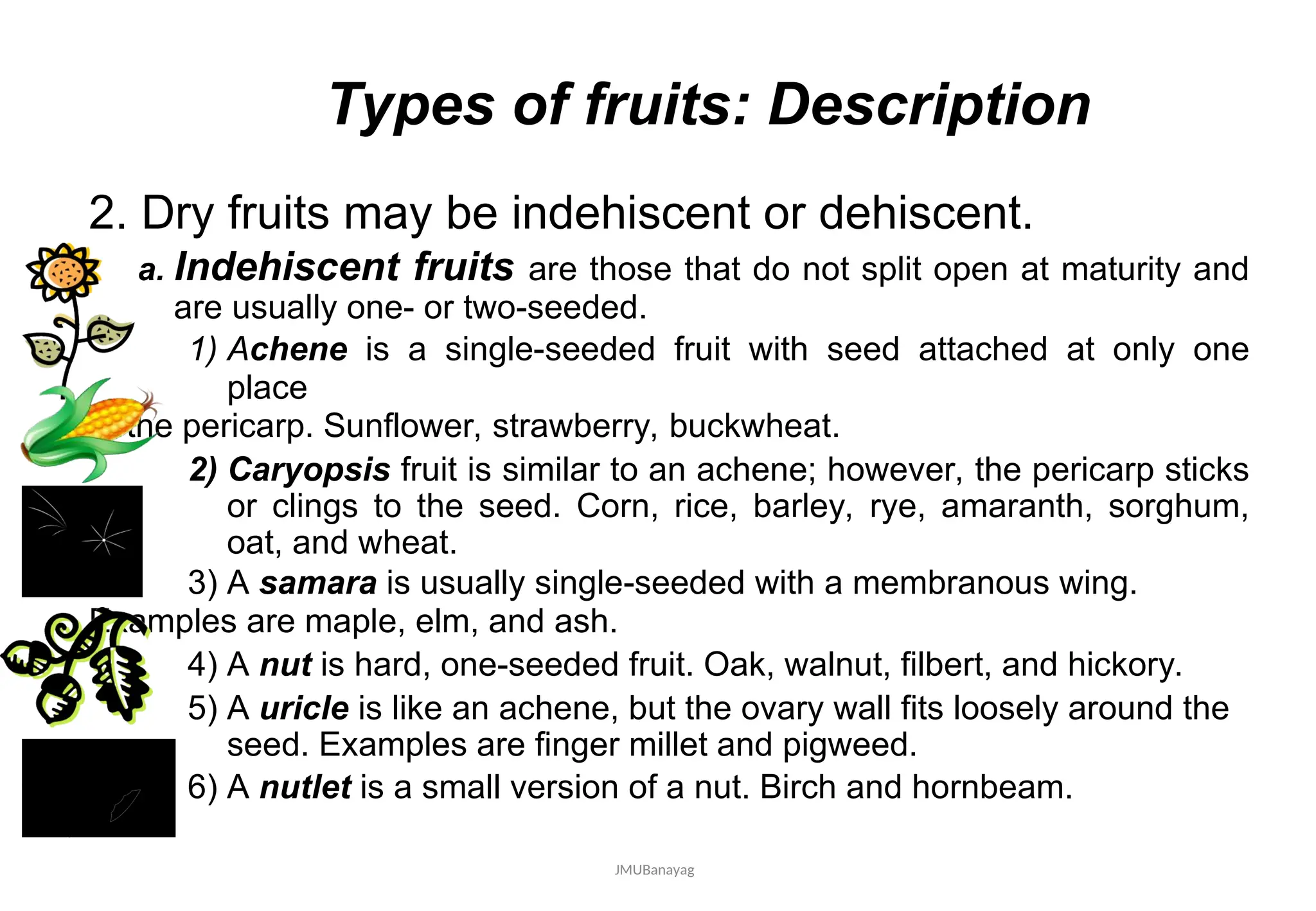 CHAPTER 2. CLASSIFICATION OF FRUITS AND PLANTATION CROPS (1).ppt