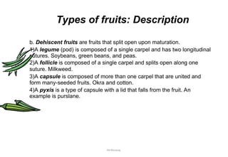 CHAPTER 2. CLASSIFICATION OF FRUITS AND PLANTATION CROPS (1).ppt