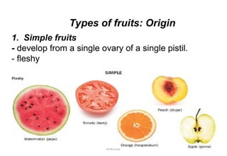 CHAPTER 2. CLASSIFICATION OF FRUITS AND PLANTATION CROPS (1).ppt