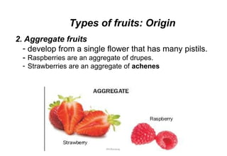 CHAPTER 2. CLASSIFICATION OF FRUITS AND PLANTATION CROPS (1).ppt