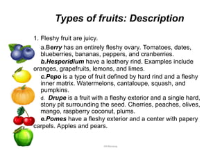 CHAPTER 2. CLASSIFICATION OF FRUITS AND PLANTATION CROPS (1).ppt