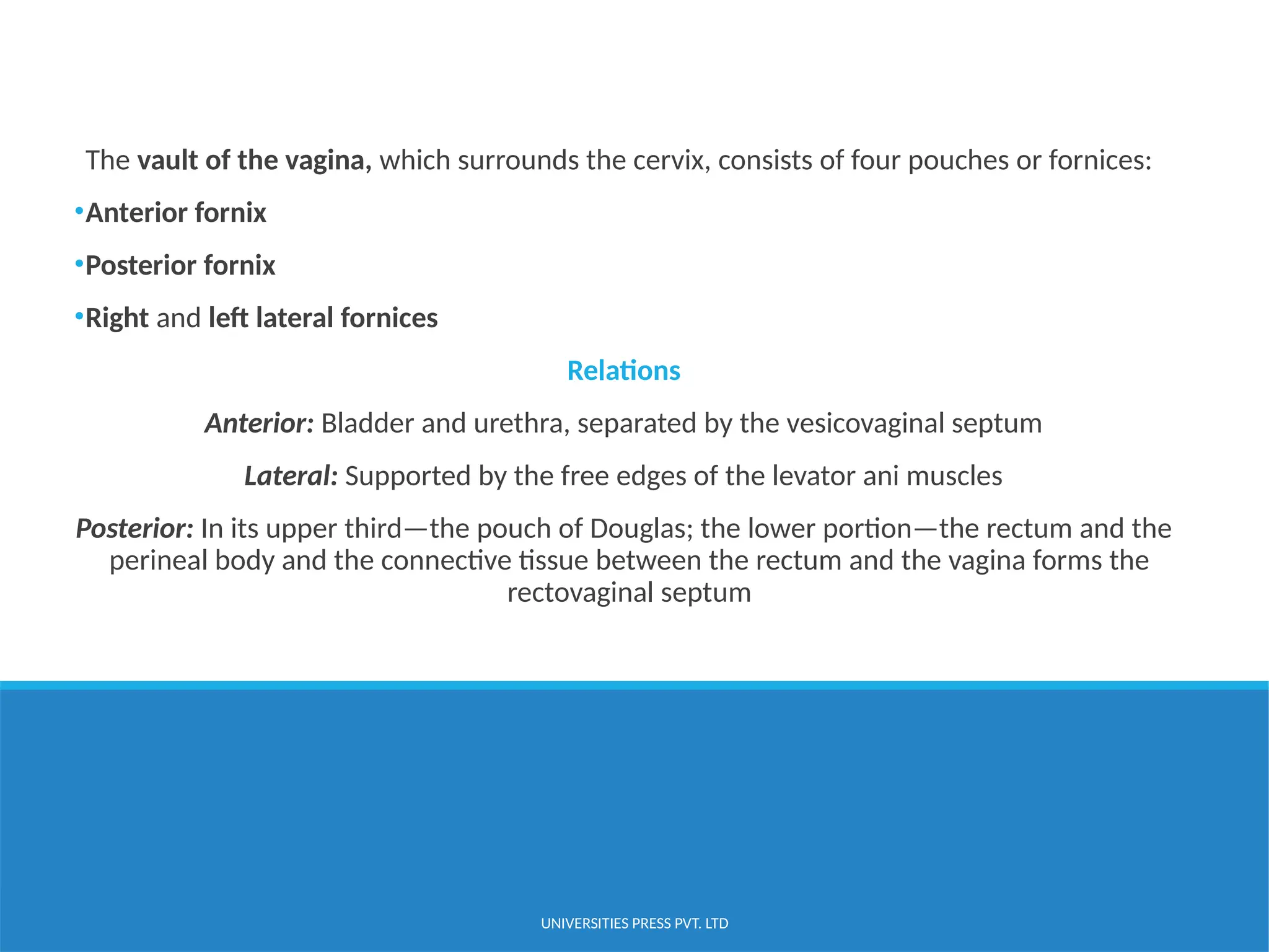 Genital organs chapter 2 Mudaliar and Menon’s clinical obstetrics | PPTX