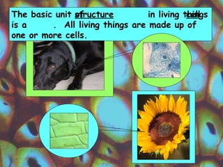 Chapter 2 2 (cells) | PPT