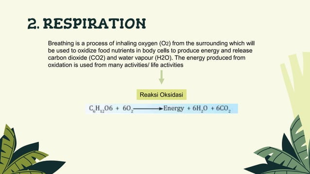 Chapter 2 - 7th Grade.pptx | Biological Sciences | Science