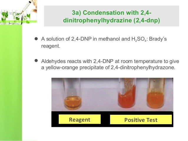 Chapter 2 aldehyde
