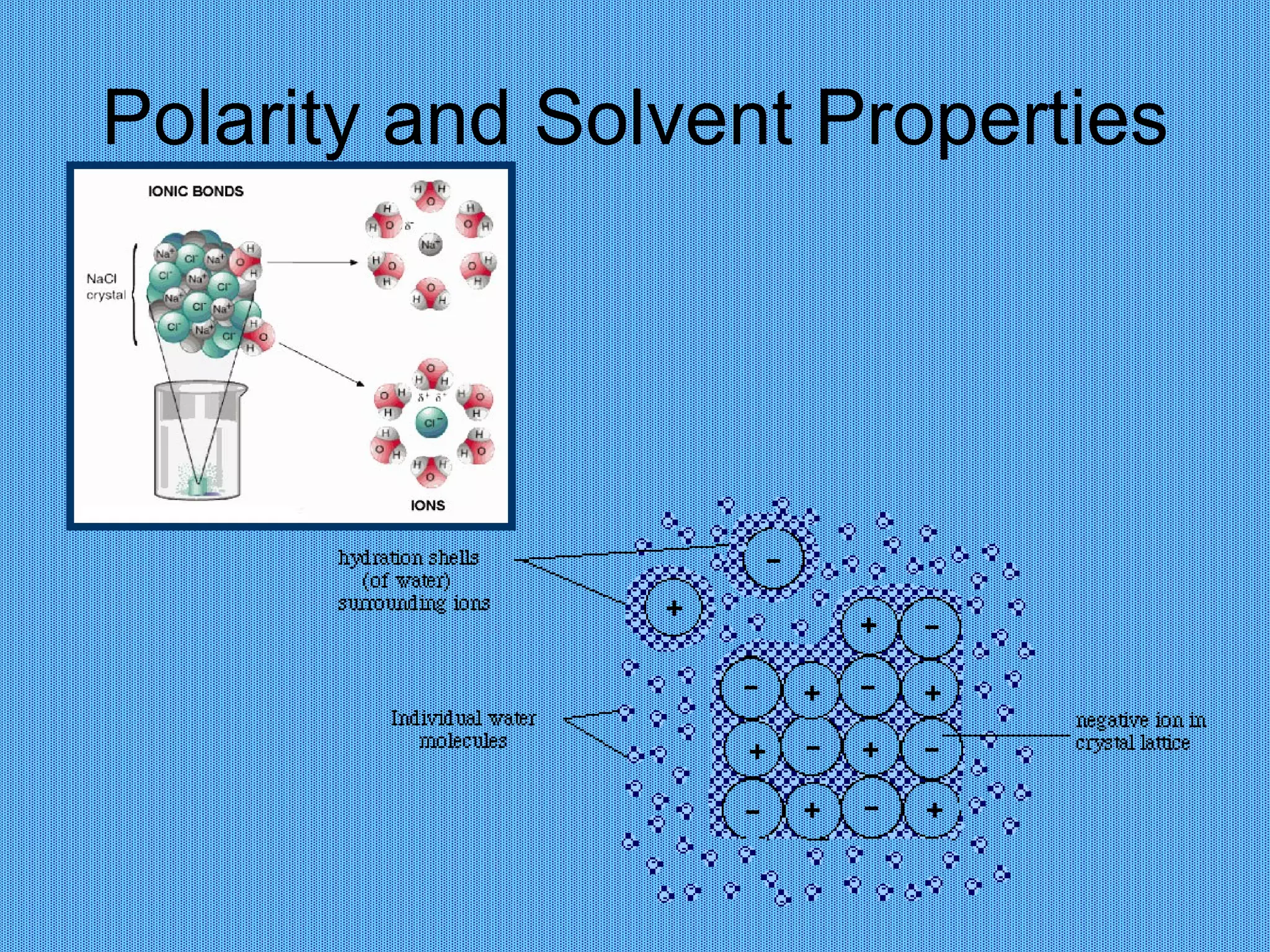 Chapter2 biochemistry | PPT