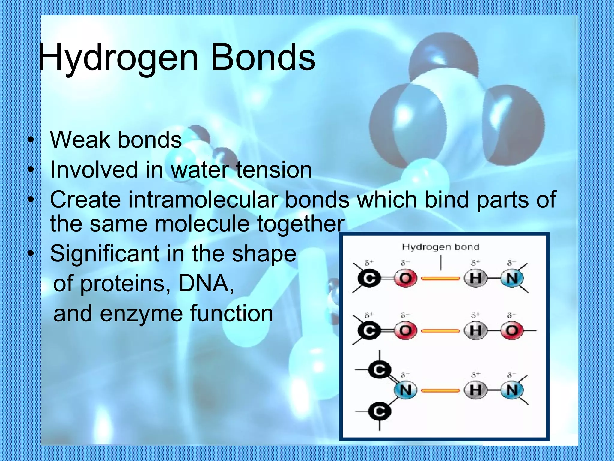 Chapter2 biochemistry | PPT