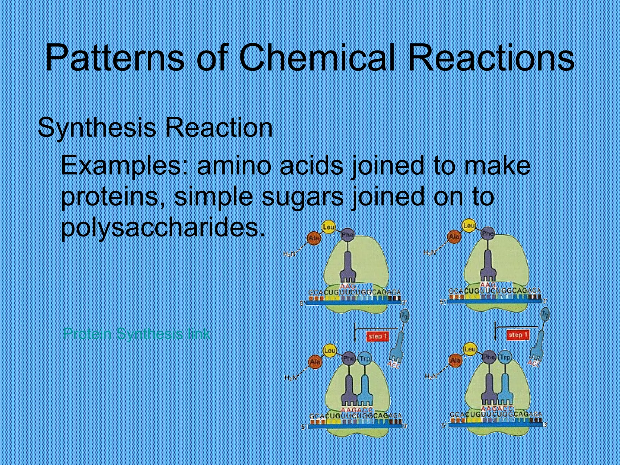 Chapter2 biochemistry | PPT