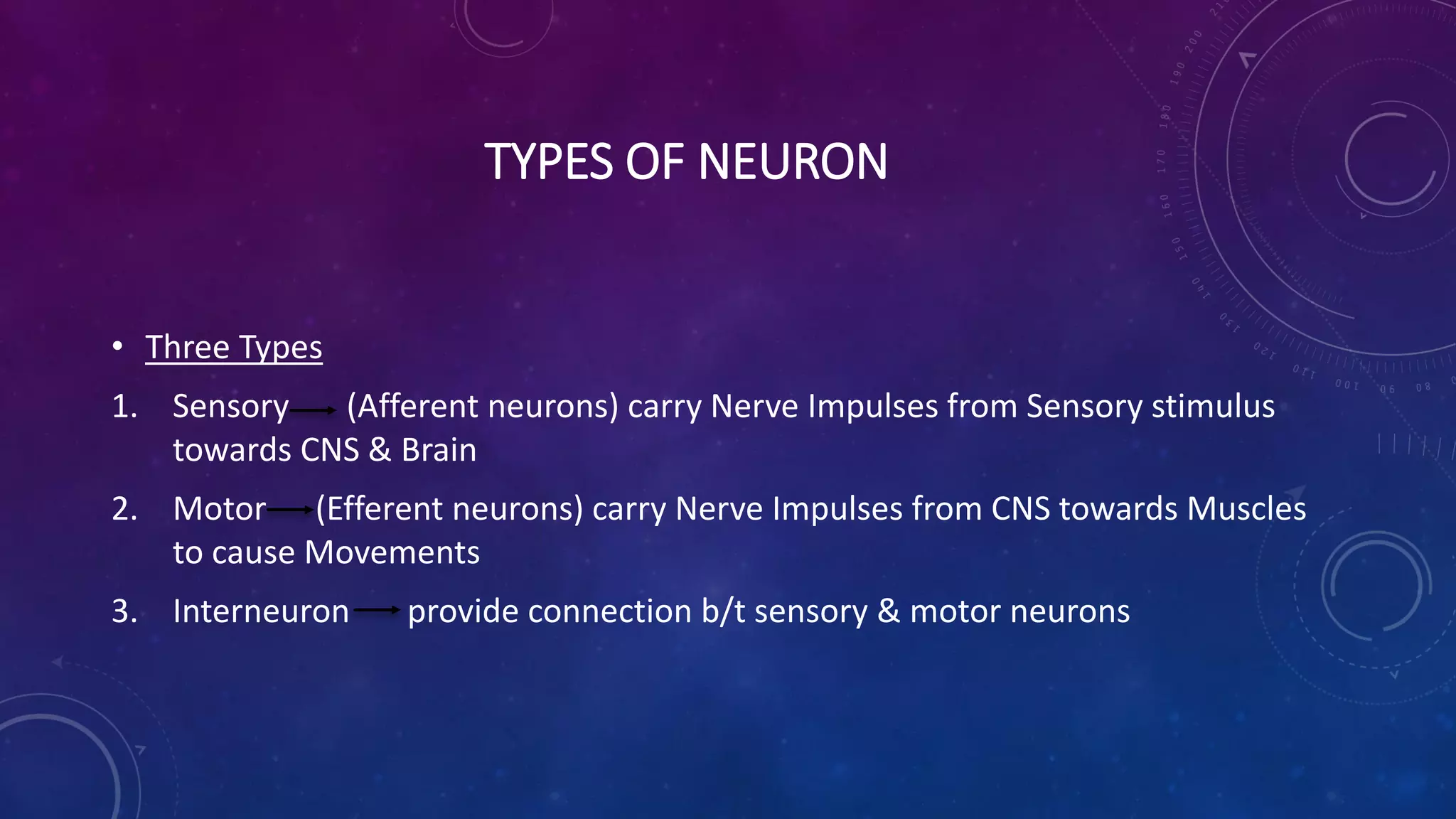 biological basis of behavior | PPT