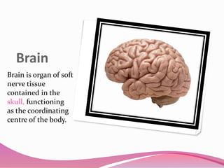 biological basis of behavior | PPT