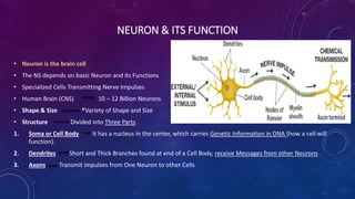 biological basis of behavior | PPT