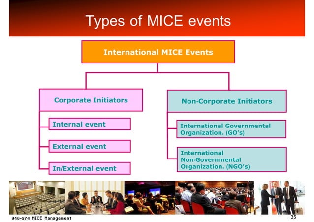 Chapter 2 business structure of mice