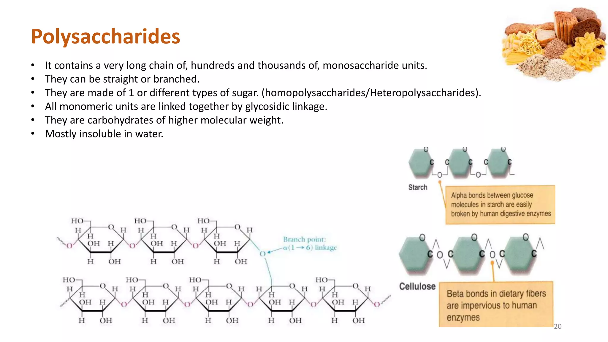 CARBOHYDRATES | PPTX