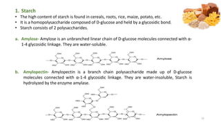 CARBOHYDRATES | PPTX