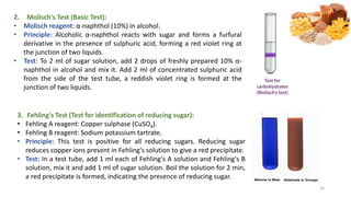 CARBOHYDRATES | PPTX