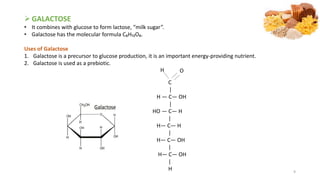 CARBOHYDRATES | PPTX
