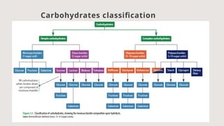 Carbohydrate chapter nutrition powerpoin | PPTX