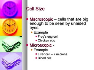 Chapter 2 Cell | PPT