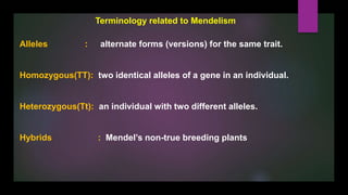 Chapter 2 classical genetics | PPTX