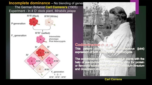 Chapter 2 classical genetics | PPTX | Gardening | Home & Garden