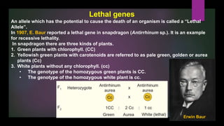 Chapter 2 classical genetics | PPTX